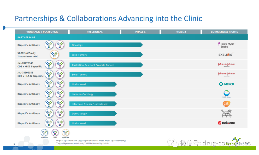史上最全：30家外资ADC研发管线梳理 - 脉脉