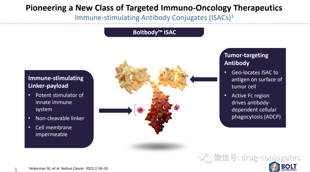 史上最全：30家外资ADC研发管线梳理 - 脉脉