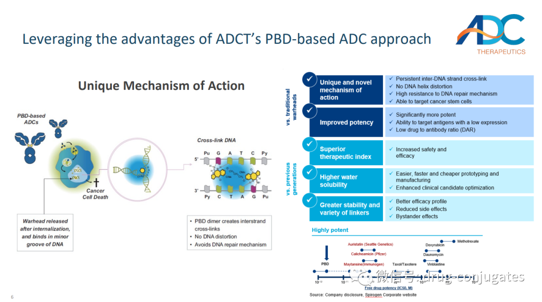 史上最全：30家外资ADC研发管线梳理 - 脉脉