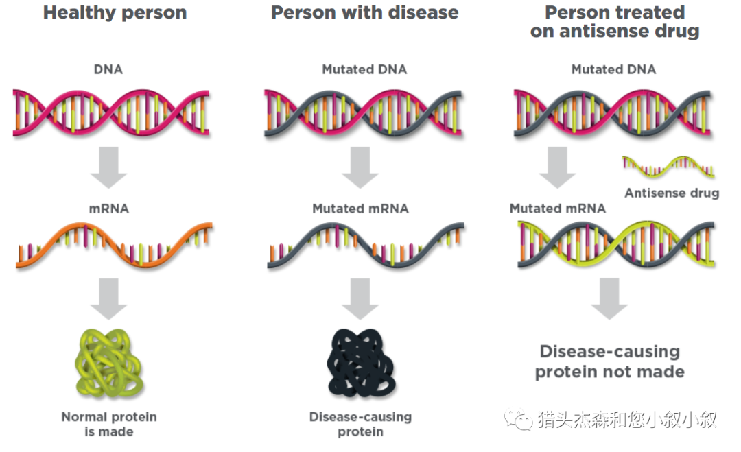 全球小核酸药物市场竞争分析 - 脉脉