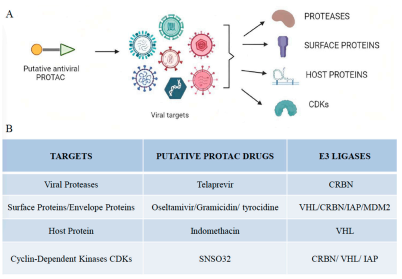 下一代抗病毒药物：PROTAC策略的变革与挑战 - 脉脉