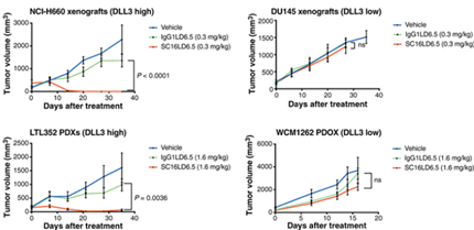 DLL3：下一个ADC的明星靶点？ - 脉脉
