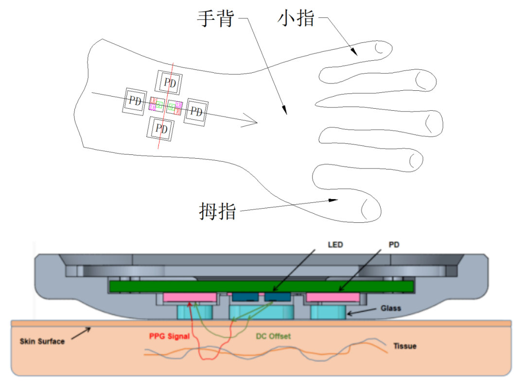 浅谈可穿戴设备PPG方案结构及工艺设计 - 脉脉