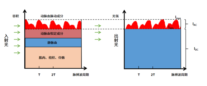 芯海科技CS1262：高精度全场景PPG AFE新品上市 - 脉脉