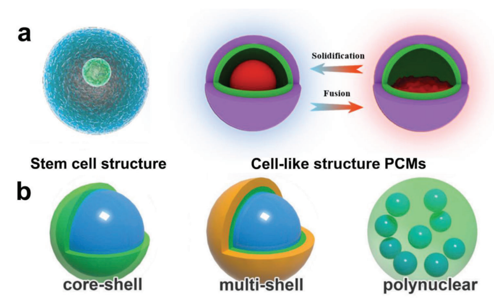 大自然是PCM结构设计、行为和理论的源泉之一_相变材料 PCM-技术邻