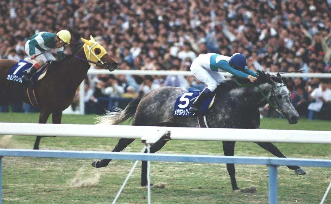 黑神话「陕北曼波说书」被疯传！曾被低估的《赛马娘》是如何征服全球粉丝的？_网络游戏新闻_17173.com中国游戏门户站