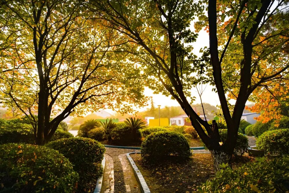 教师招聘||武进区漕桥小学编外聘用教师（科学学科）招聘公告 - 长三角招聘网