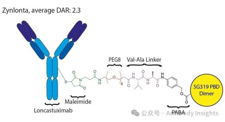 7 款代表性 ADC 药物设计拆解：从 T-DM1 到 Zynlonta，读懂 ADC 结构与疗效的取舍逻辑