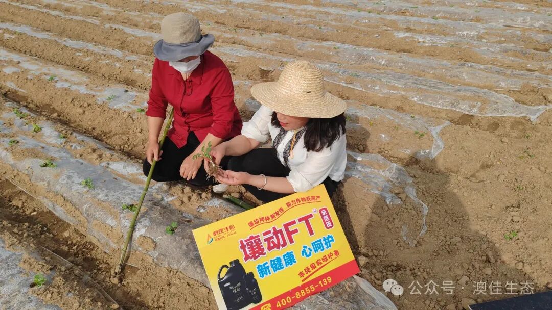 好花生 全靠它 -农资与市场官网