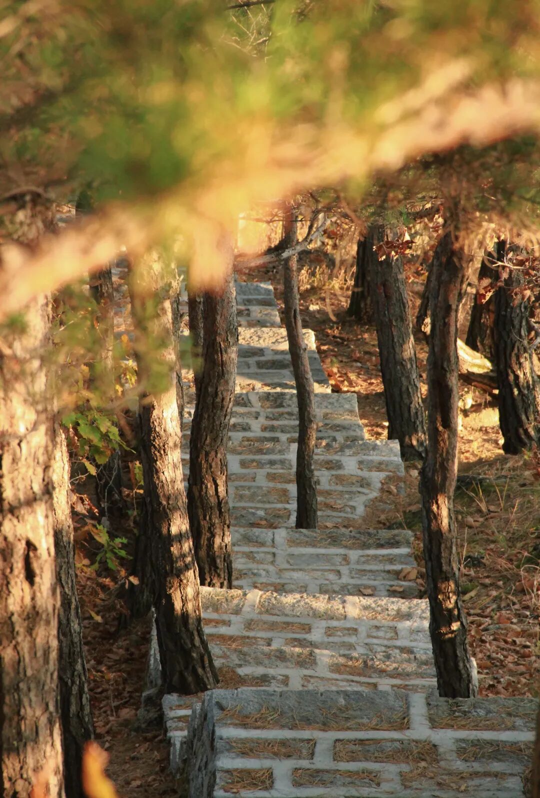 走啊！漫步五花山间邂逅秋日浪漫 | 自由微信 | FreeWeChat