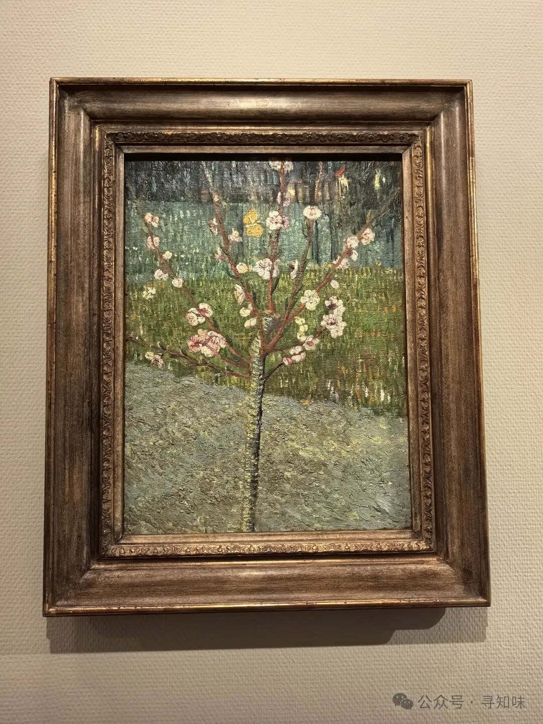 从梵高博物馆看博物馆策展一一荷兰行之八2025.1.20 | 自由微信 | FreeWeChat