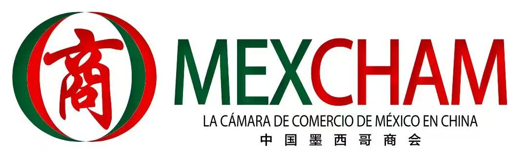 América FC equity sold: new chapter for Mexican Football - MexCham