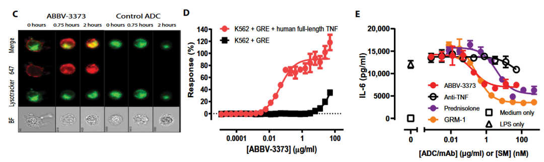 TNFa ADC 在自免领域的研发探索：艾伯维 ABBV-3373 与 ABBV-154 的进展与挑战