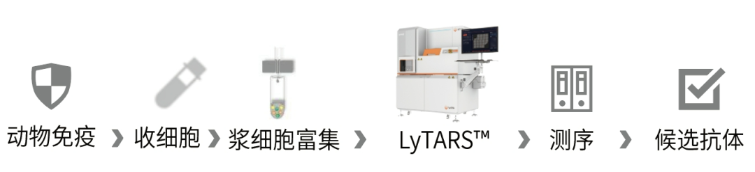 综述分享：现代GPCR药物发现的核心要素-Hypeptide