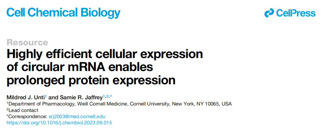 Cell子刊：用类病毒颗粒VLP递送环状RNA，延长治疗性蛋白表达时间医药新闻-ByDrug-一站式医药资源共享中心-医药魔方