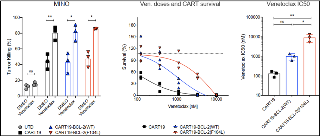 CD：宾大团队发现增强CAR-T细胞抗癌能力的新方法！-2022（第十三届）细胞治疗大会