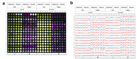 酶标仪高端玩家指南：搭载合成生物学传感器的可穿戴设备研发 - 生物通