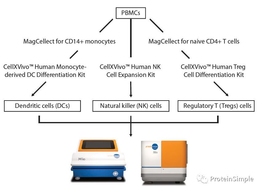 Jess/Wes+Milo 腫瘤微環境精準蛋白質定量分析技術組合 – 尋夢健康
