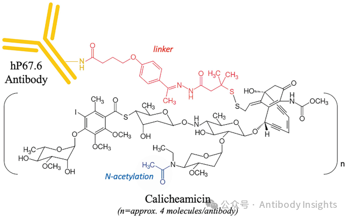 7 款代表性 ADC 药物设计拆解：从 T-DM1 到 Zynlonta，读懂 ADC 结构与疗效的取舍逻辑