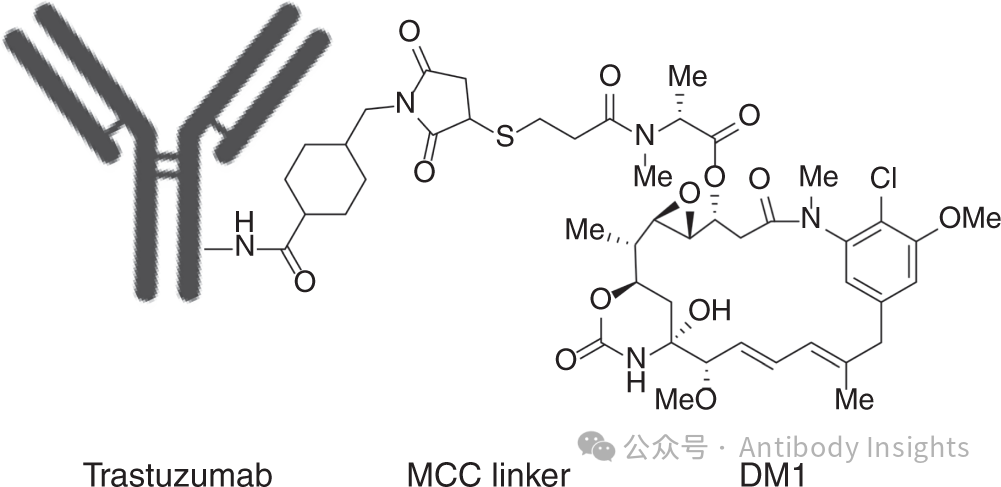 7 款代表性 ADC 药物设计拆解：从 T-DM1 到 Zynlonta，读懂 ADC 结构与疗效的取舍逻辑