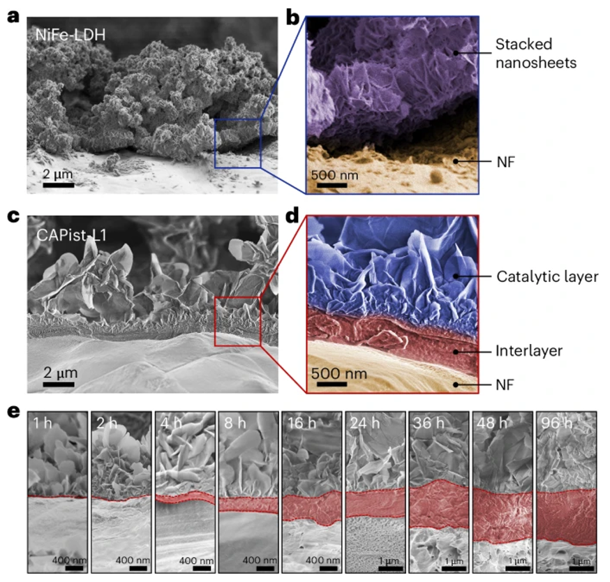 纳米人-这个团队，一周连发Nature Catalysis，JACS和Nature Communications！