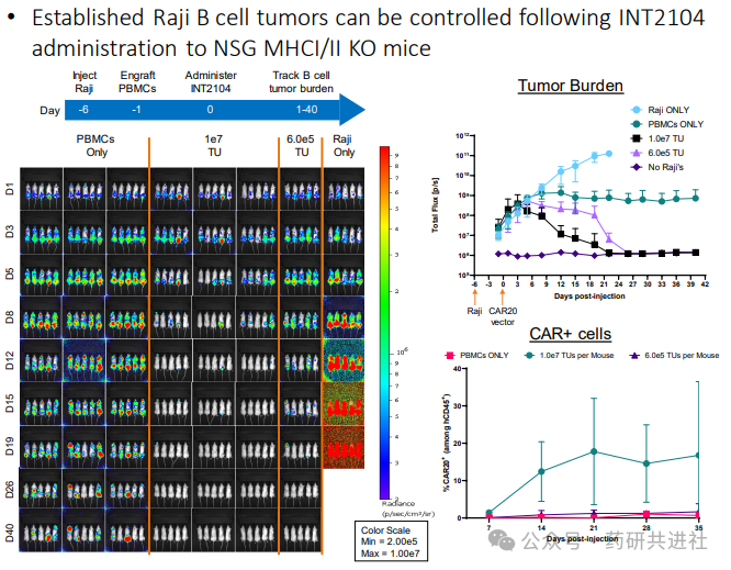 In Vivo CAR-T 全球首研突破：Interius INT2104 靶向 CD20 临床进展与技术解析