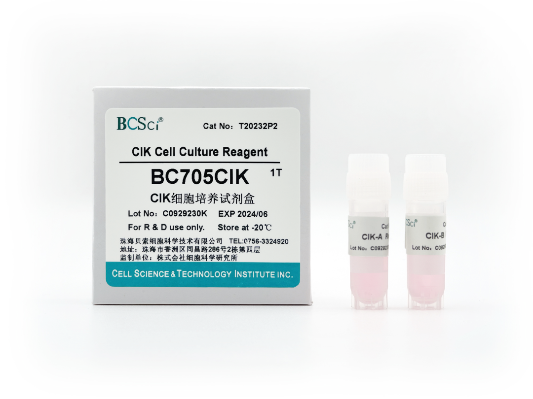 革新细胞培养，探索新型CIK细胞培养的奥秘！