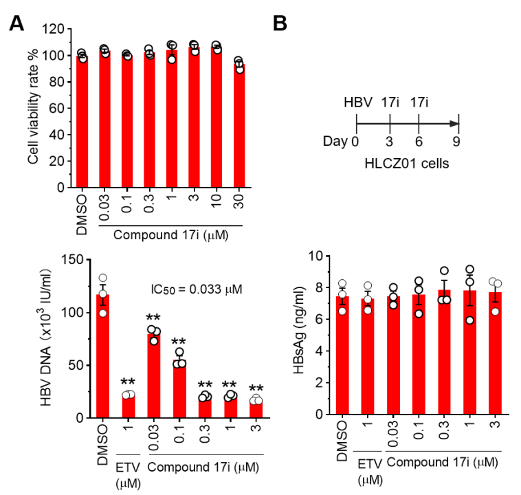 Hermite®学术“逐星”｜Uni-FEP助力靶向HBV抑制剂研究，相关成果见刊JMC - 脉脉