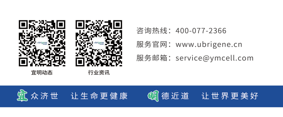 重磅！全球首款胰岛细胞疗法获批上市，治疗1型糖尿病医药新闻-ByDrug-一站式医药资源共享中心-医药魔方