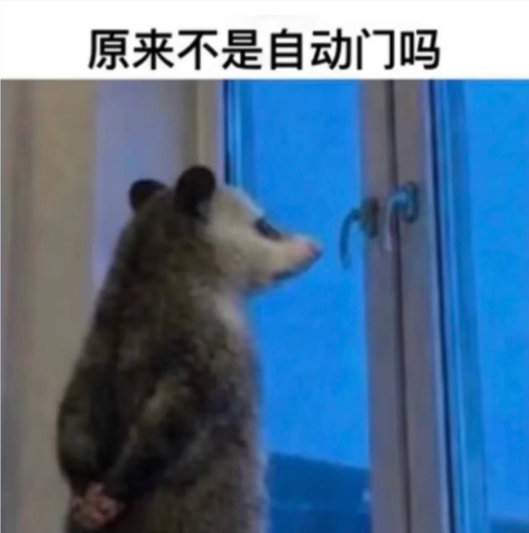双语新闻：“背手负鼠”火了！网友：我将全网收集这只负鼠表情包