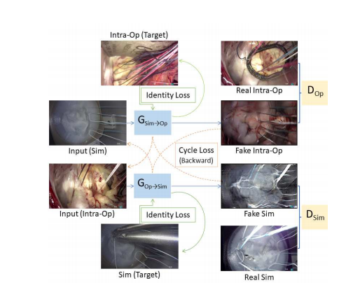 文献速递：生成对抗网络医学影像中的应用——基于CycleGAN的图像到图像转换，用于逼真的外科手术训练模型 - 影像组学科研世界 | 国内第一个影像组学论坛
