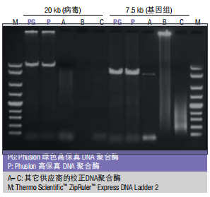 Thermo Scientific Phusion DNA 聚合酶——强劲、准确、快速PCR扩增的聚合酶-精彩推荐-精彩推荐-上海明睿生物技术有限公司