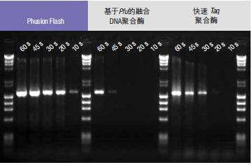 Thermo Scientific Phusion DNA 聚合酶——强劲、准确、快速PCR扩增的聚合酶-精彩推荐-精彩推荐-上海明睿生物技术有限公司