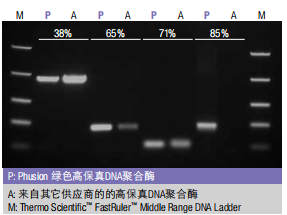 Thermo Scientific Phusion DNA 聚合酶——强劲、准确、快速PCR扩增的聚合酶-精彩推荐-精彩推荐-上海明睿生物技术有限公司